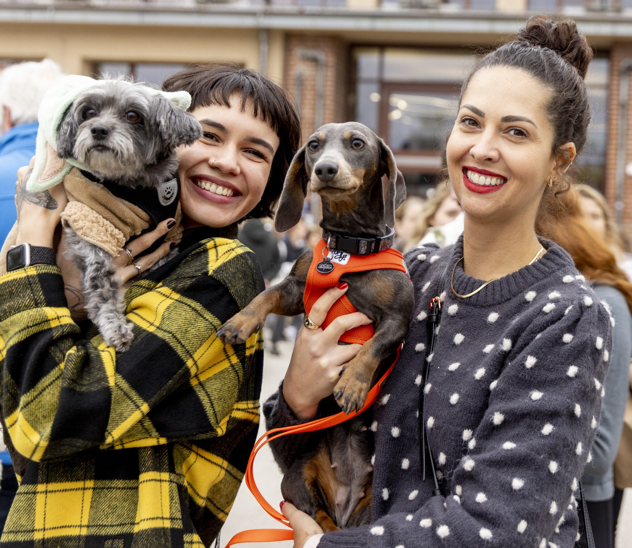 DogWorld® München | Hunde-Lifestyle-Messe & Erlebnisevent